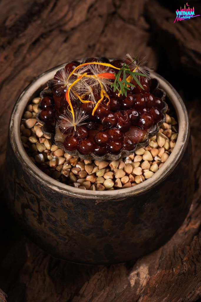 Coco Saigon | Đặt Bàn Ngay | Vietnam Nightlife Guide